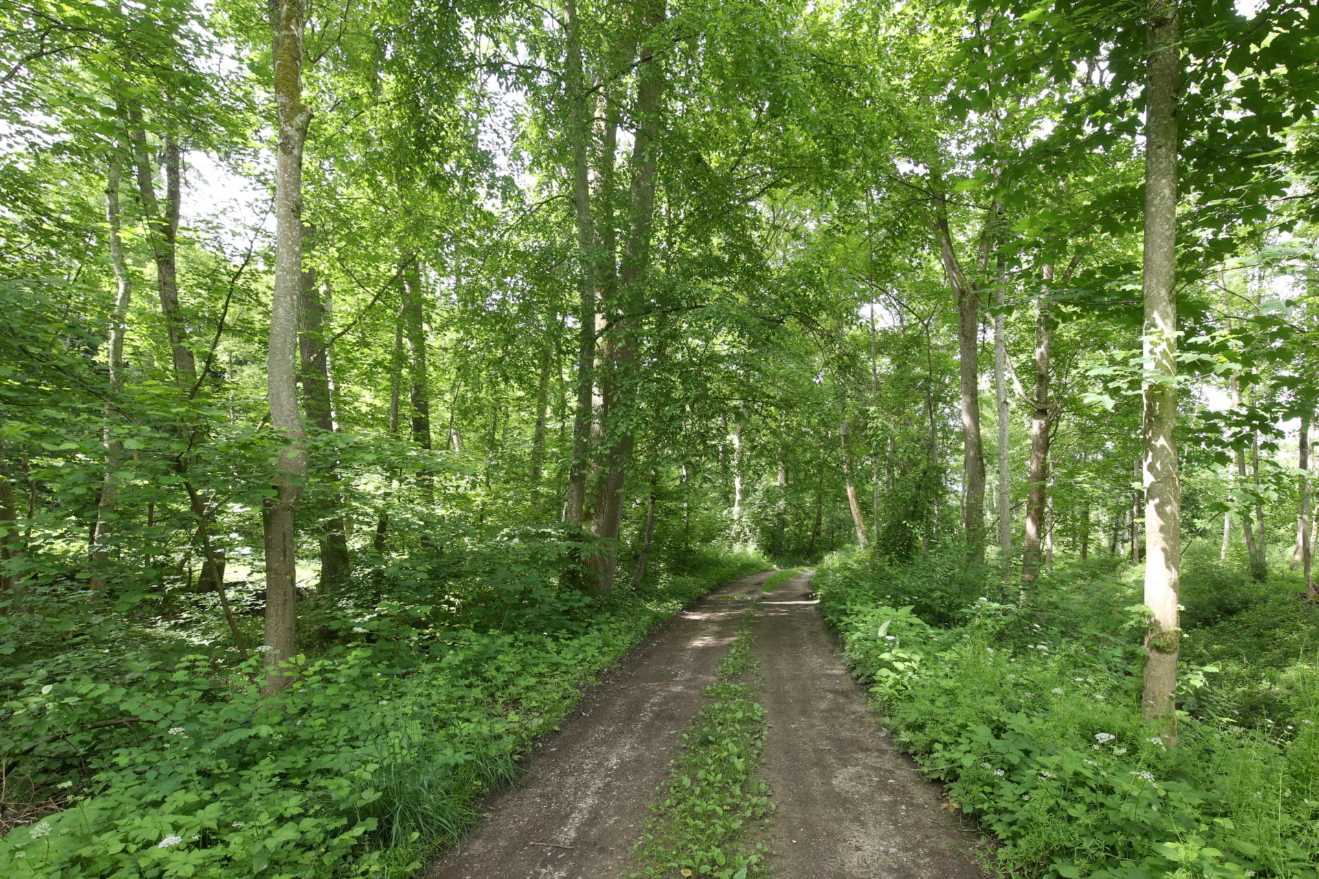 Ortsbeschreibung – Markt Offingen